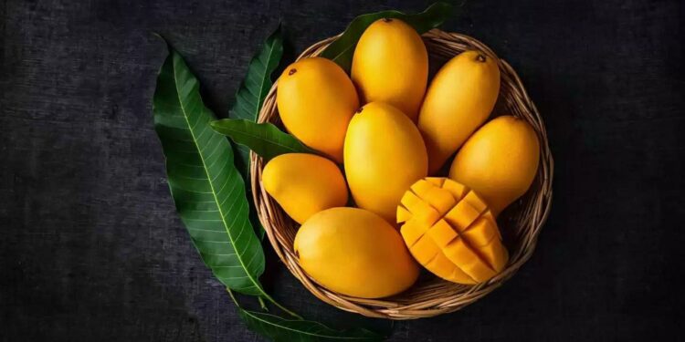 Types of Mangoes in Pakistan - Lamudi Blog