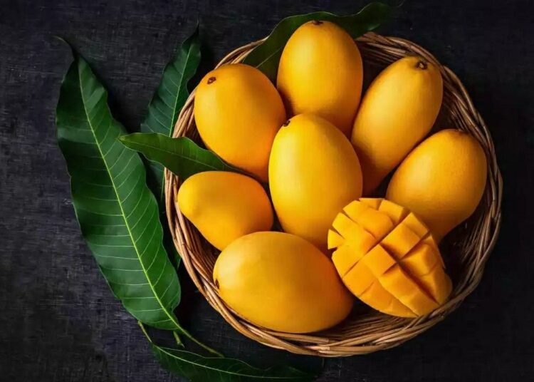 Green Line Bus Karachi: Route, Stations, Timing, Ticket Price and More - Lamudi Blog